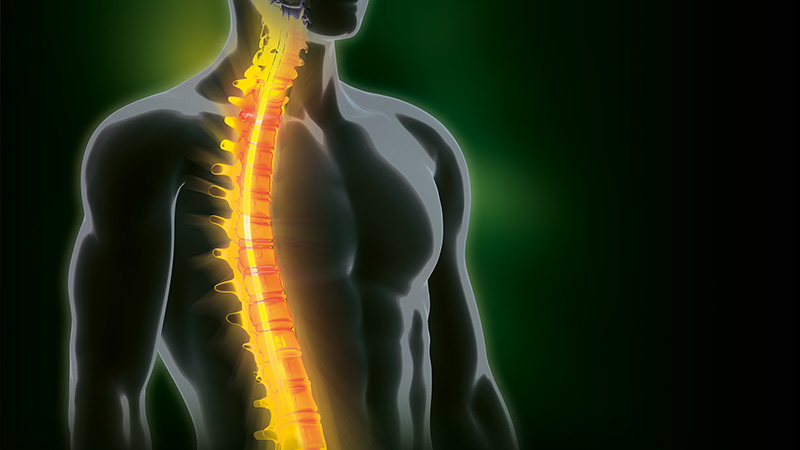 langer-medical - spine surgery - neuromonitoring - IONM